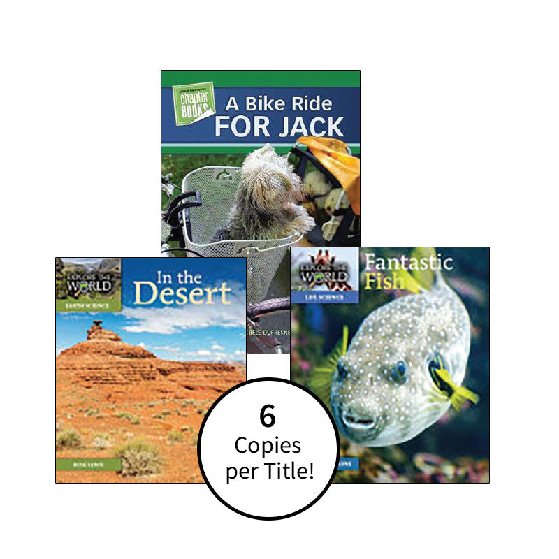Pioneer Valley Level G: Class Pack – Steps to Literacy