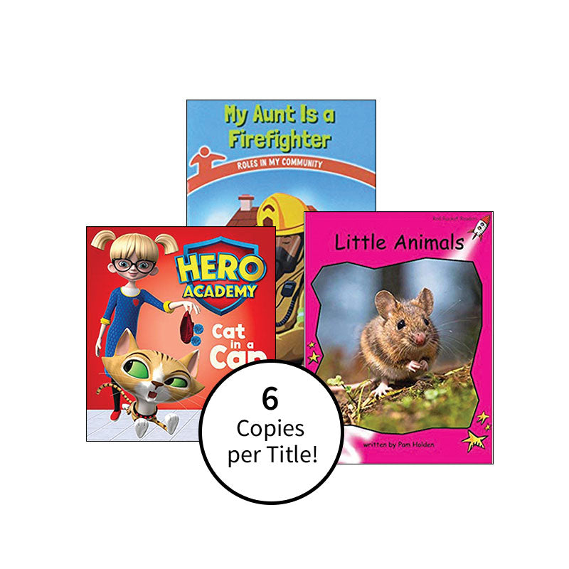 Multipublisher Leveled Reading Level B: Class Pack – Steps to Literacy