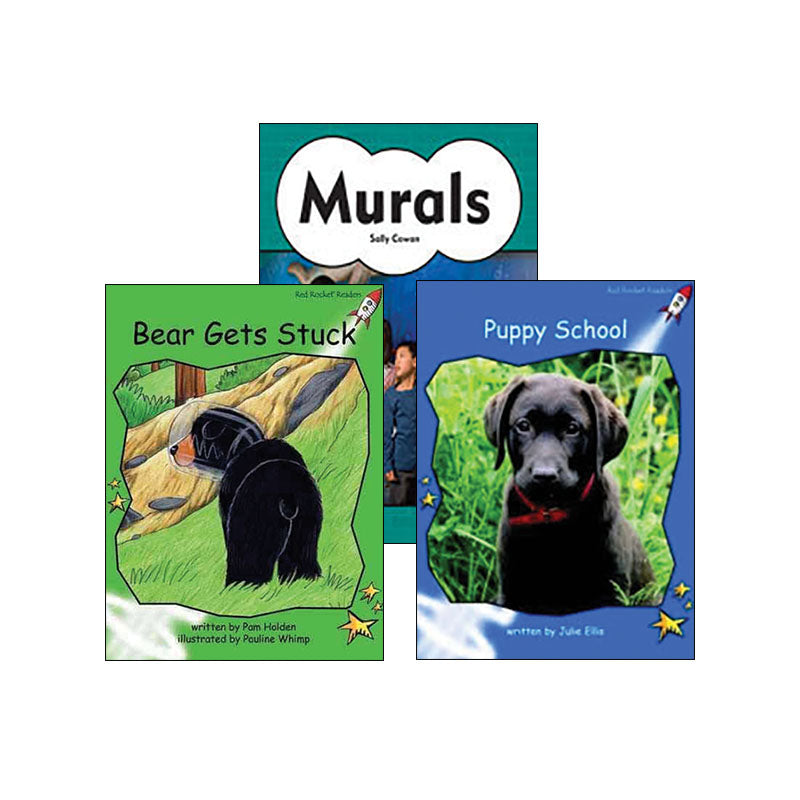 Multipublisher Leveled Reading Level G : Variety Pack – Steps to Literacy
