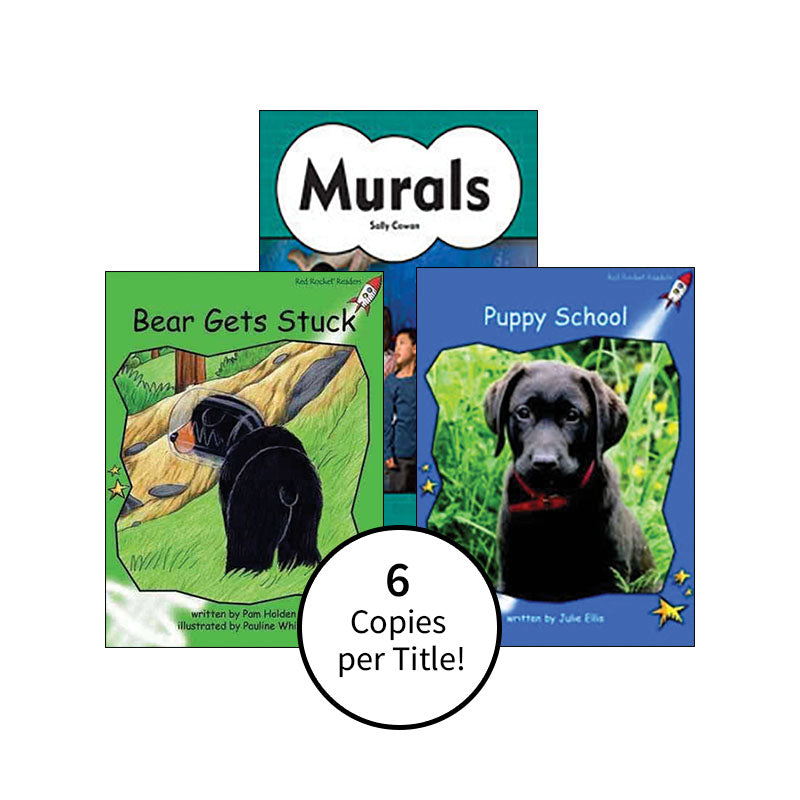 Multipublisher Leveled Reading Level G : Class Pack – Steps to Literacy