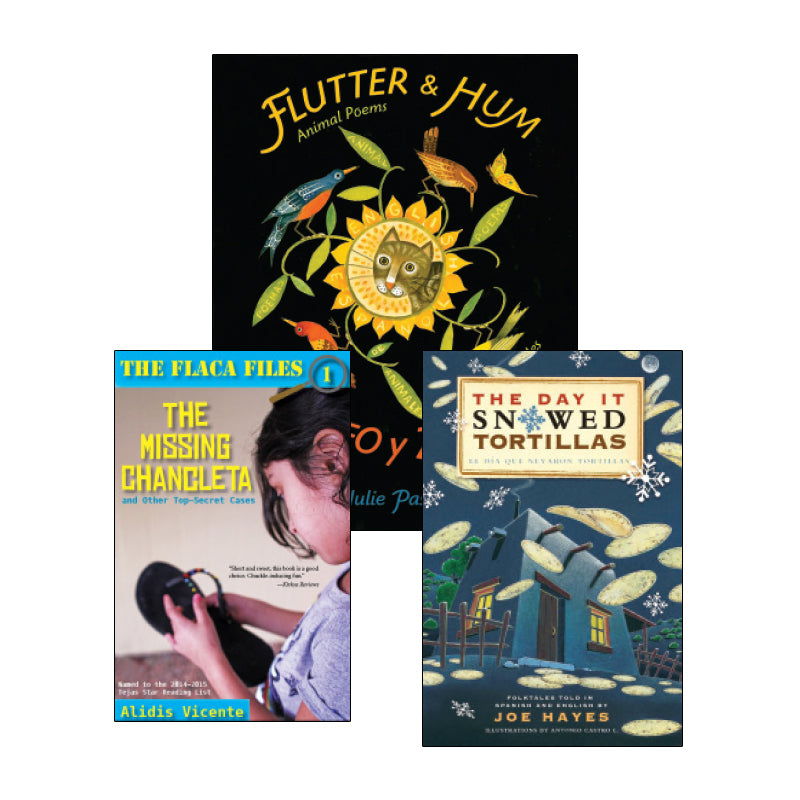 English-Spanish Dual Language - Grade 4: Variety Pack – Steps to Literacy