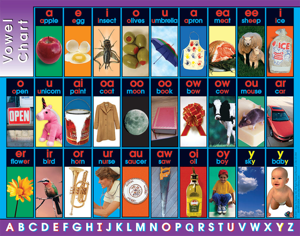 Vowel: Teaching Chart – Steps to Literacy