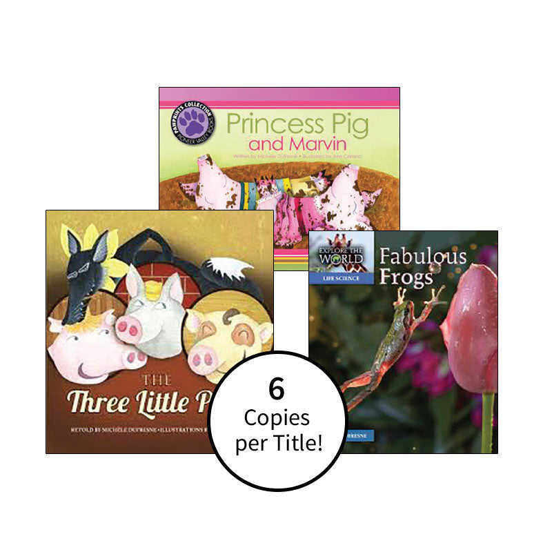 Pioneer Valley Level C: Class Pack – Steps to Literacy