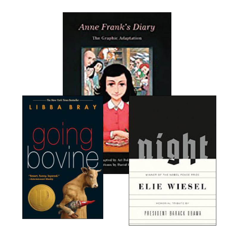 HIGH SCHOOL – Steps to Literacy